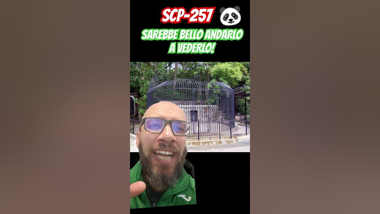 SCP-257 Forse andrò allo ZOO! #zoo #animals - YouTube