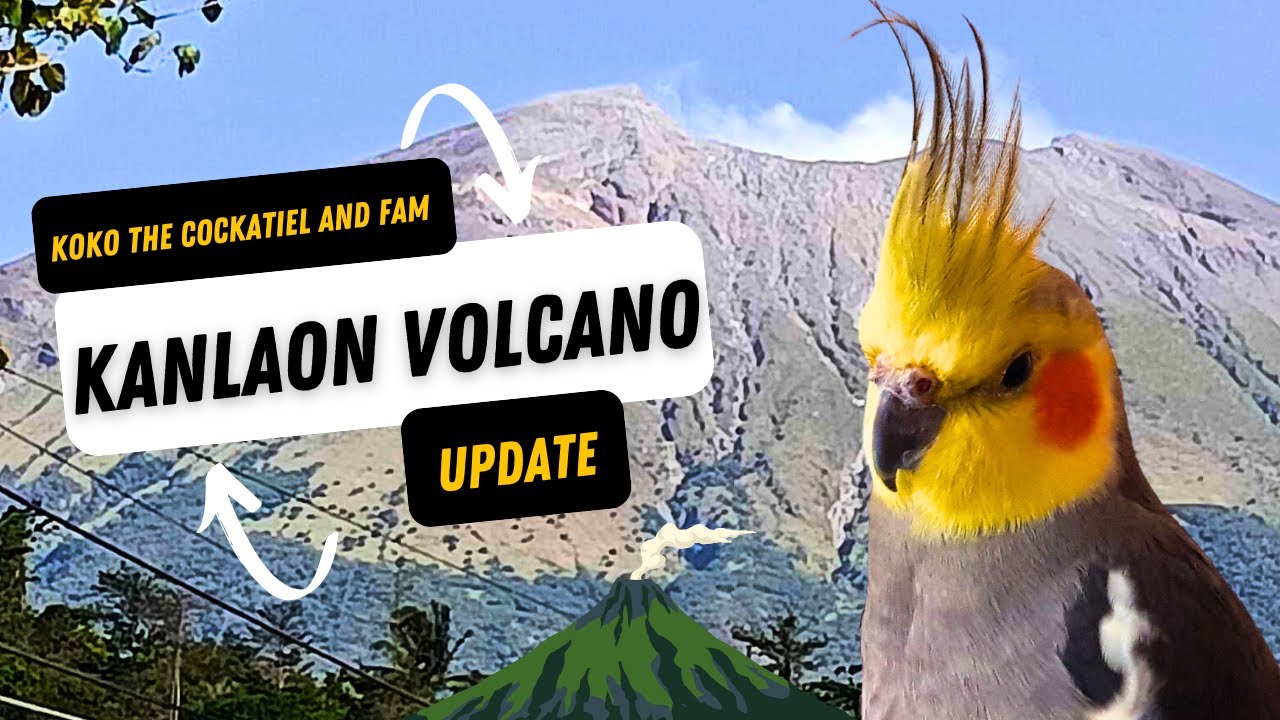 Koko the cockatiel and fam: Kanlaon Volcano update - YouTube