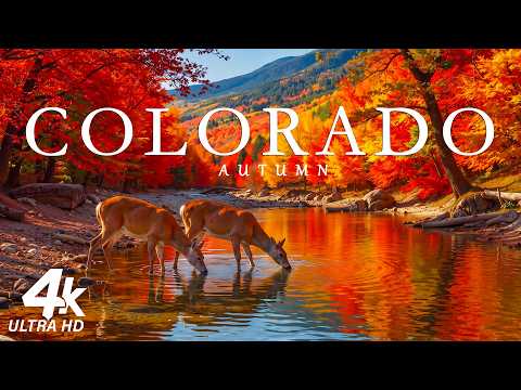 Colorado Autumn 4K 🍁 Scenic Drives, Aspen Trees & Rocky Mountains Fall Colors