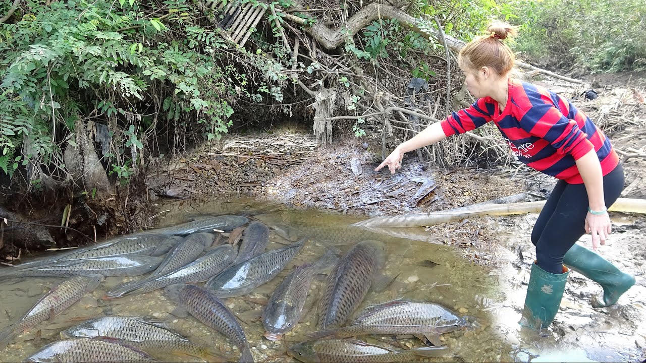 Fishing technology - the girl caught a lot of fish in the lake with ...