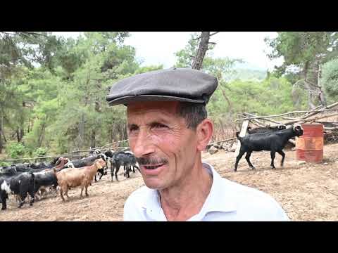 SON GÖÇER 'YÖRÜK ALİ'