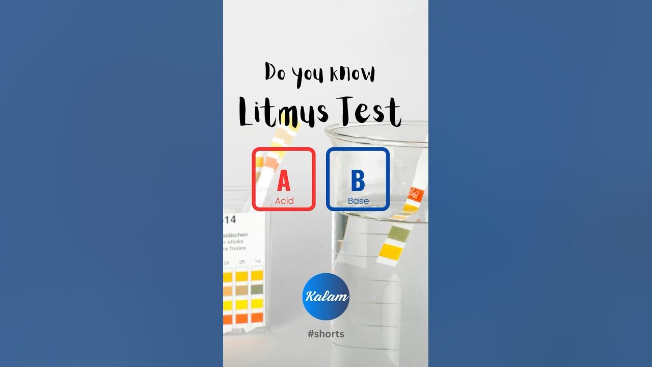 What Is Litmus Test English KalamShorts litmus chemistry what-is-litmus-test-english-kalamshorts-litmus-chemistry