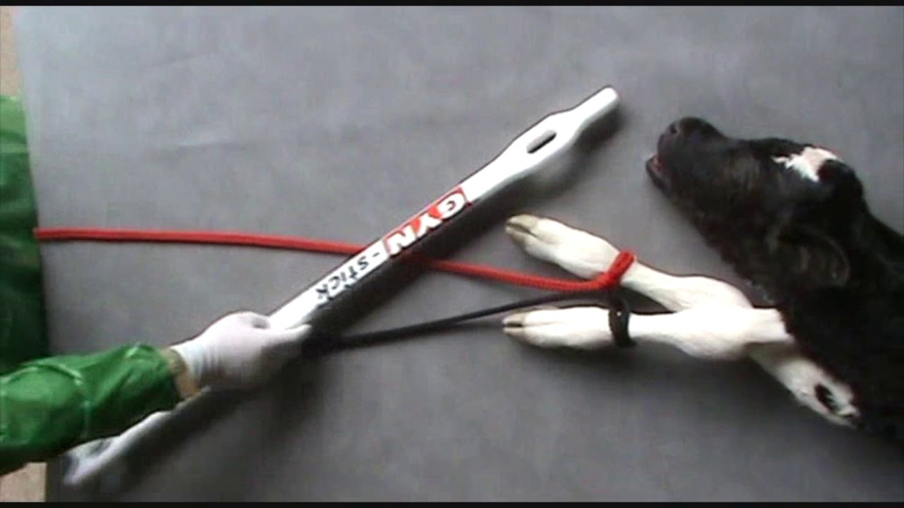 Gyn Stick Film Youtube