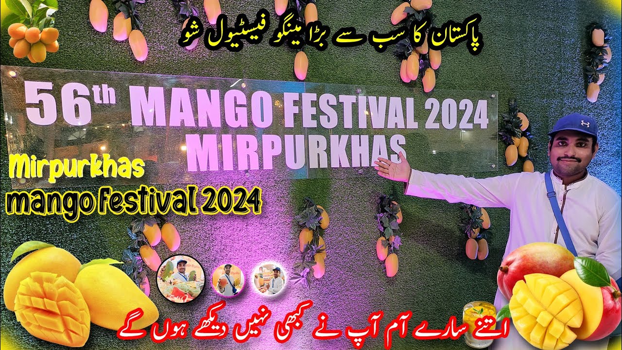Mango festival in Pakistan 2024 | mango festival mirpurkhas 2024 ...