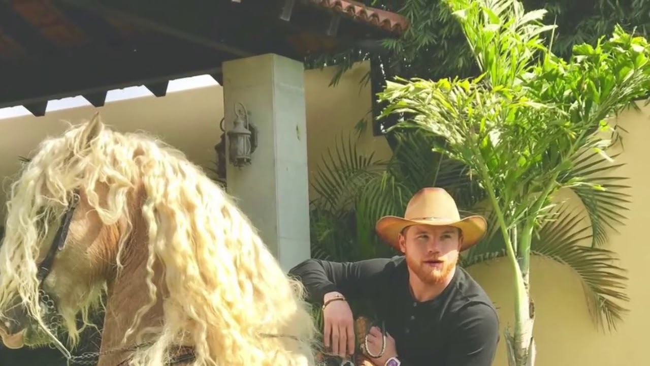 Nuevo caballo de canelo - YouTube