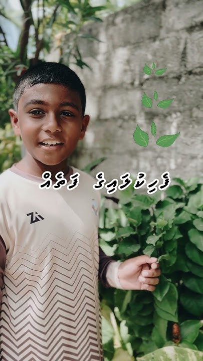 Faafu Dhaskurun ފ ދަސްކުރުން Youtube