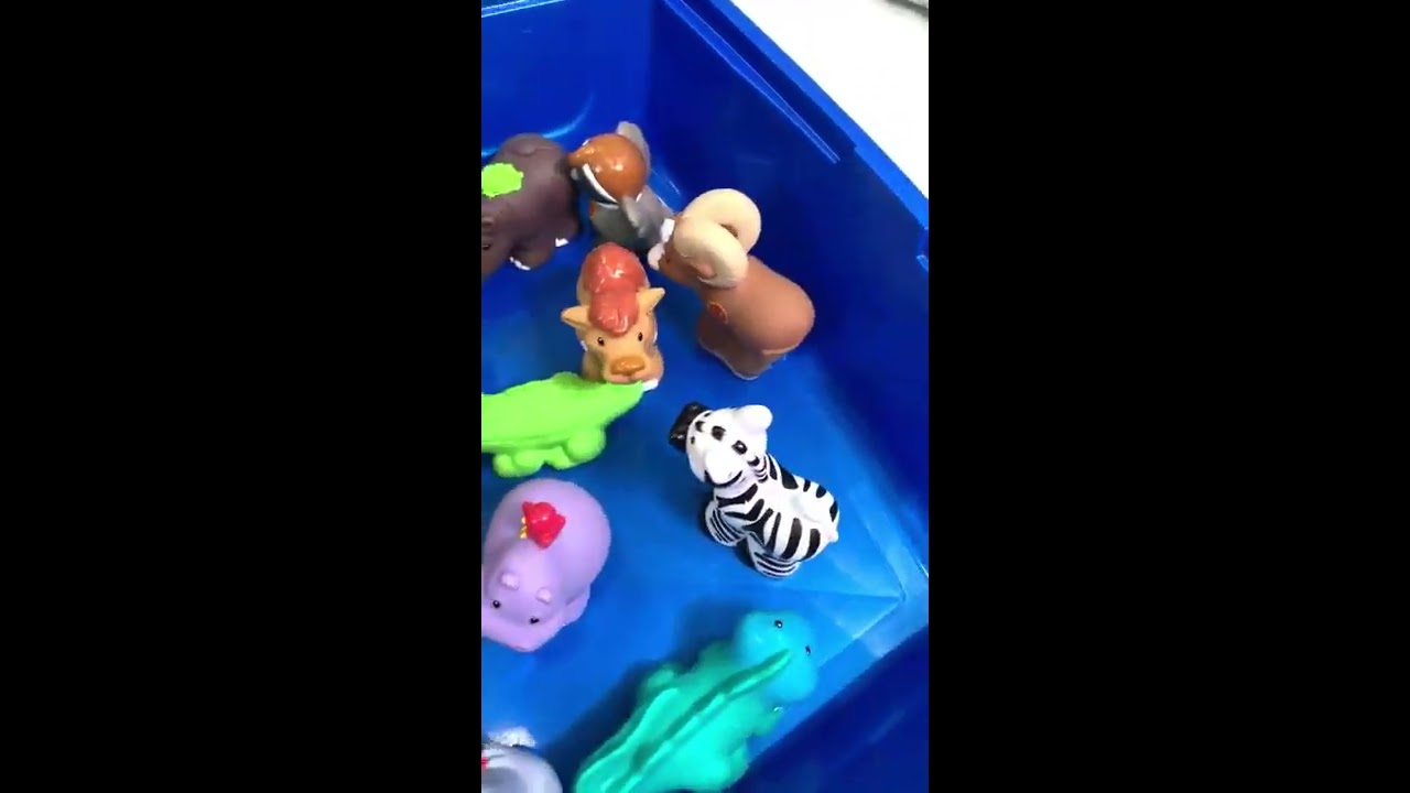 Zoo Animal Toys Sensory Bin DIY Sensory Bin Ideas 🦁 kids toys - YouTube