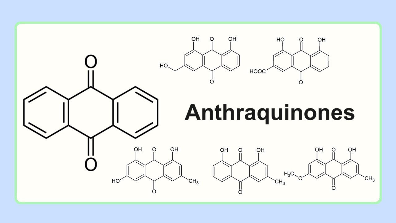 anthraquinones - YouTube