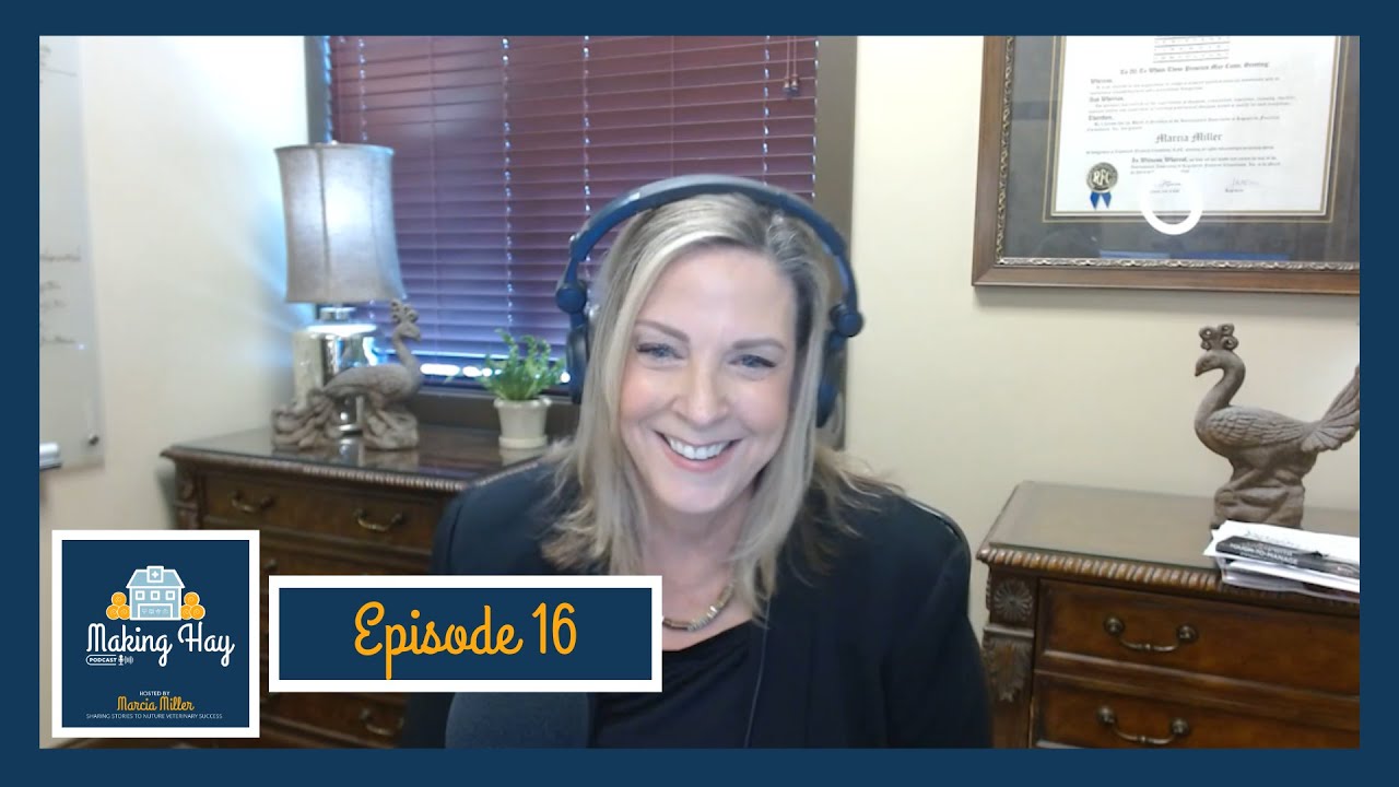 How to Choose the Right Financial Advisor for Your Business with Matt ...