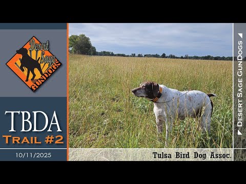 TBDA Trial Fall #2-2025 - YouTube
