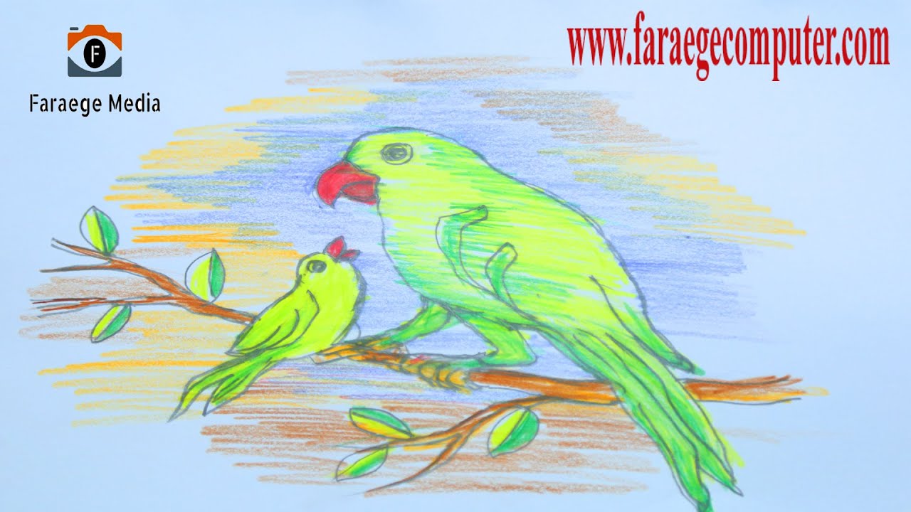 Parrots on the branches of the tree | Drawing Tutorial | Pencil Sketch ...