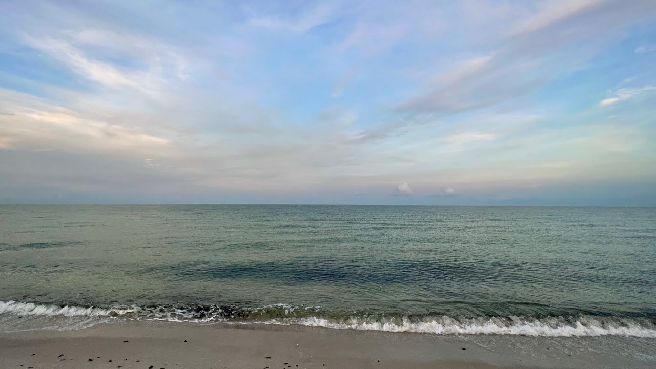Part 1 of Robb’s Wednesday Morning Beach Walk in North Naples, FL (08 ...