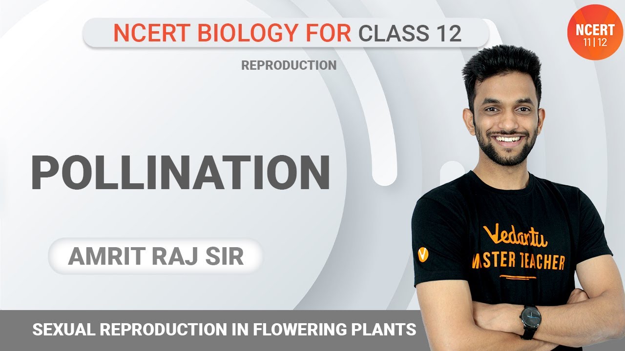 Pollination: (L-5) | Sexual Reproduction In Flowering Plants | NCERT ...