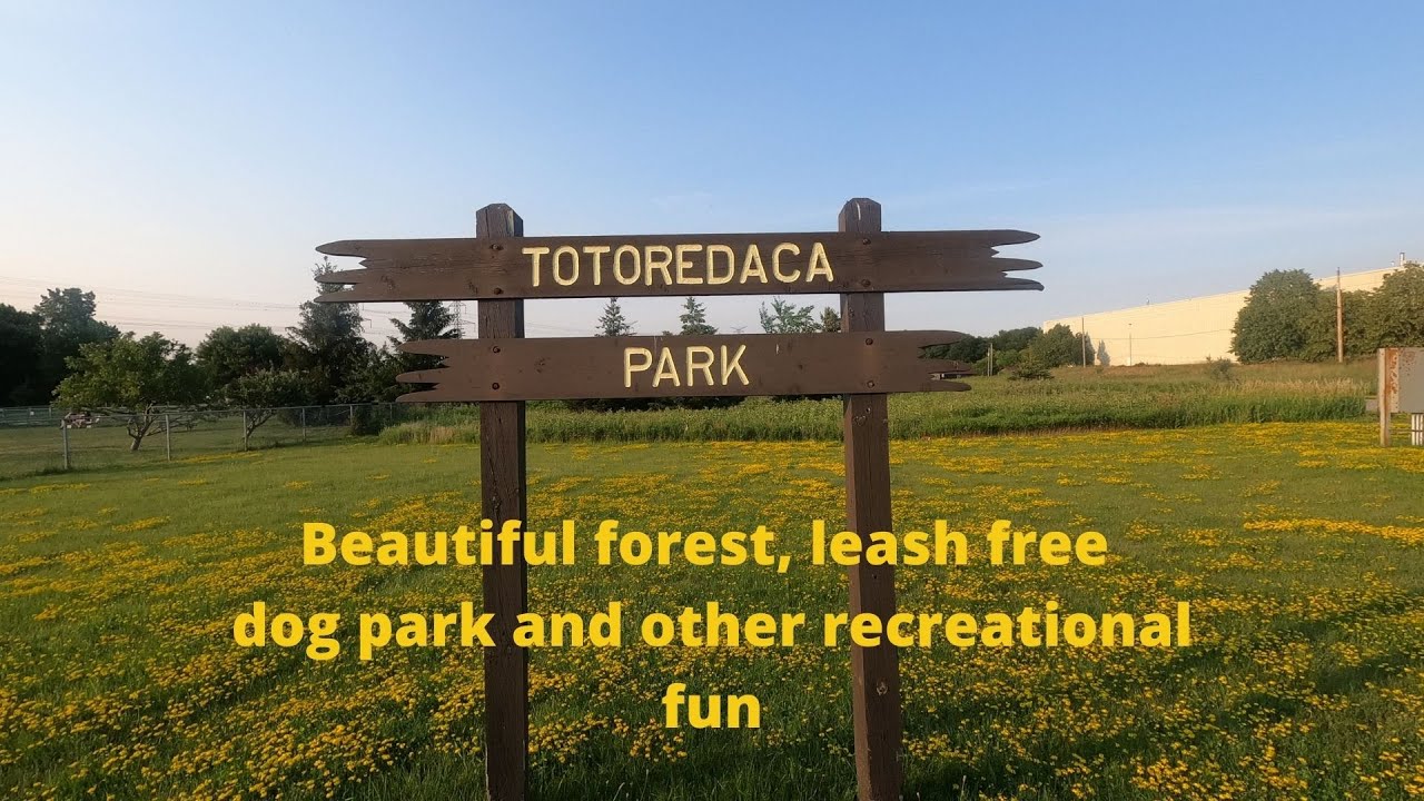Totoredaca park in Mississauga Ontario - YouTube