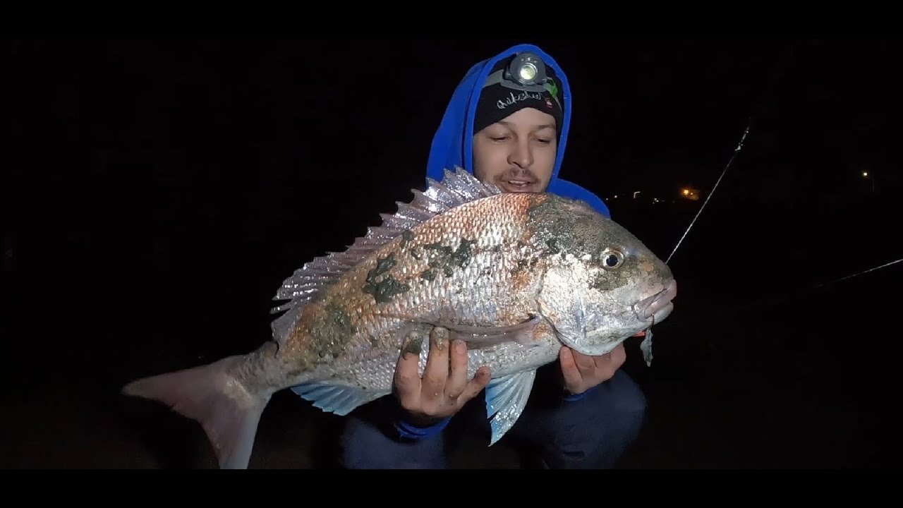 Hunting For A Landbased PB Snapper. Kapiti Coast. Wellington. New ...