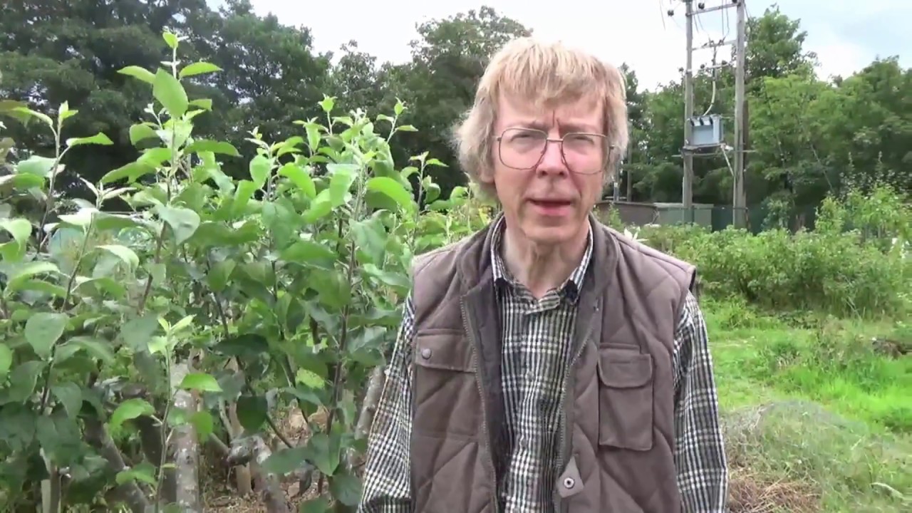 Family Apple Tree - Episode 8 - July 2017 - YouTube