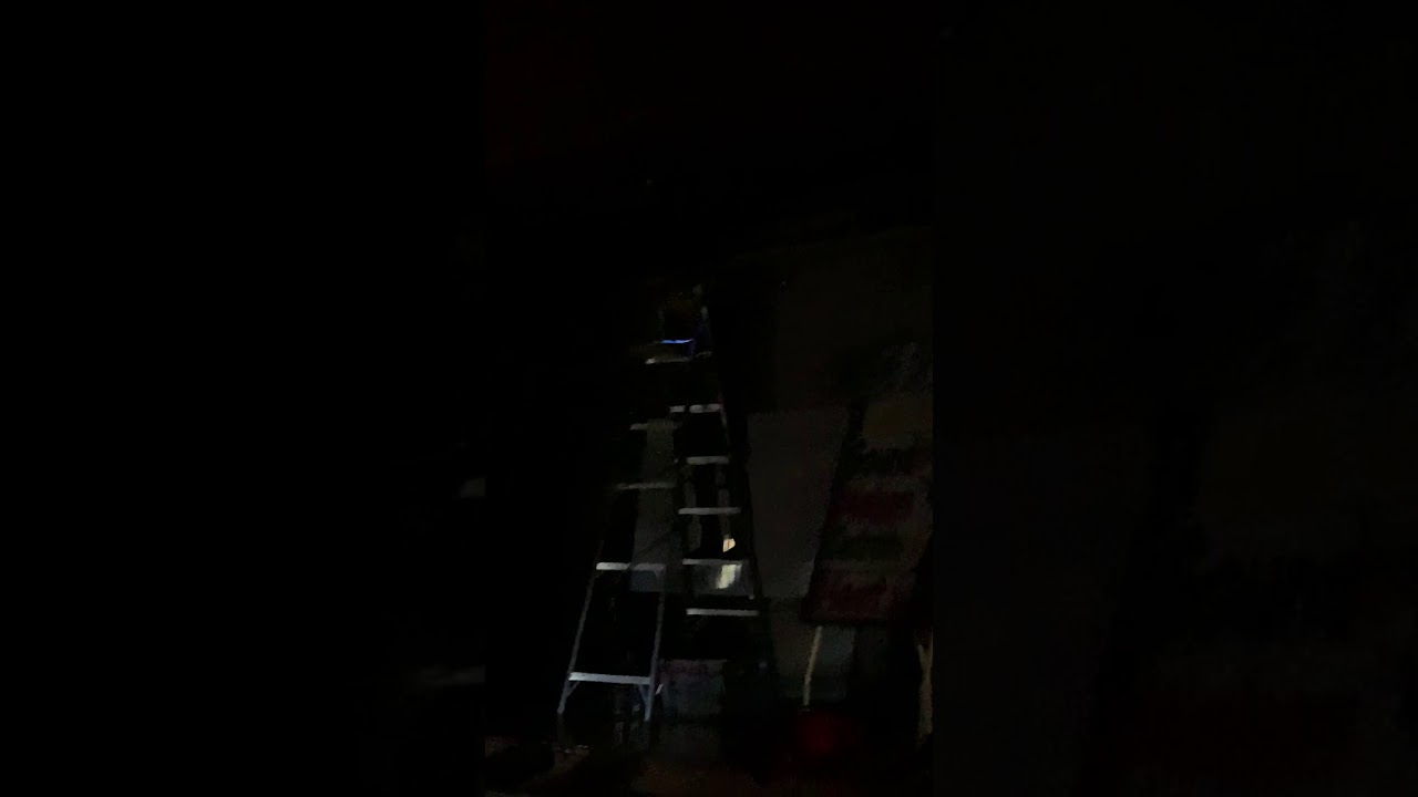 Lights, Camera, Science Show - YouTube