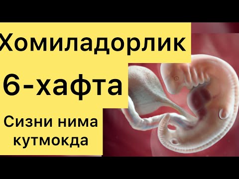 Хомилангиз 6-хафтаси сизни нималар кутмокда