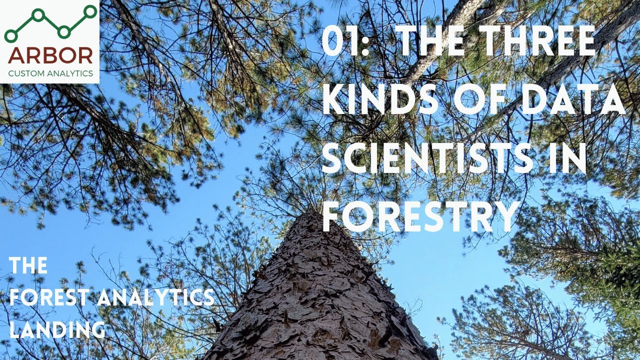 001: The three kinds of data scientists in forestry - YouTube