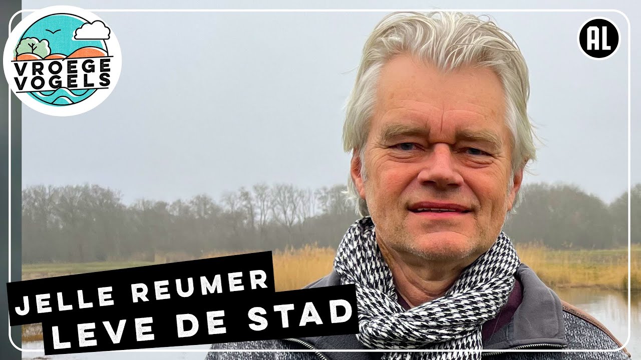 Jelle Reumer: natuur in Rotterdam | Radio | Vroege Vogels - YouTube