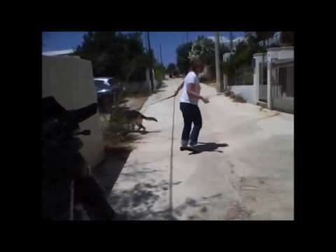 ΕΚΠΑΙΔΕΥΣΗ ΣΚΥΛΩΝ. ΤΡΑΒΗΓΜΑ ΣΤΟ ΛΟΥΡΙ. - YouTube