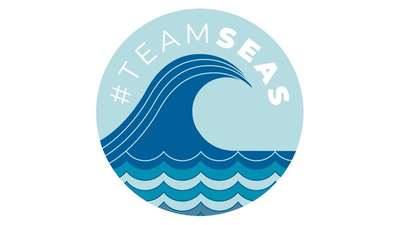 You can help to clean the oceans | #TeamSeas - YouTube