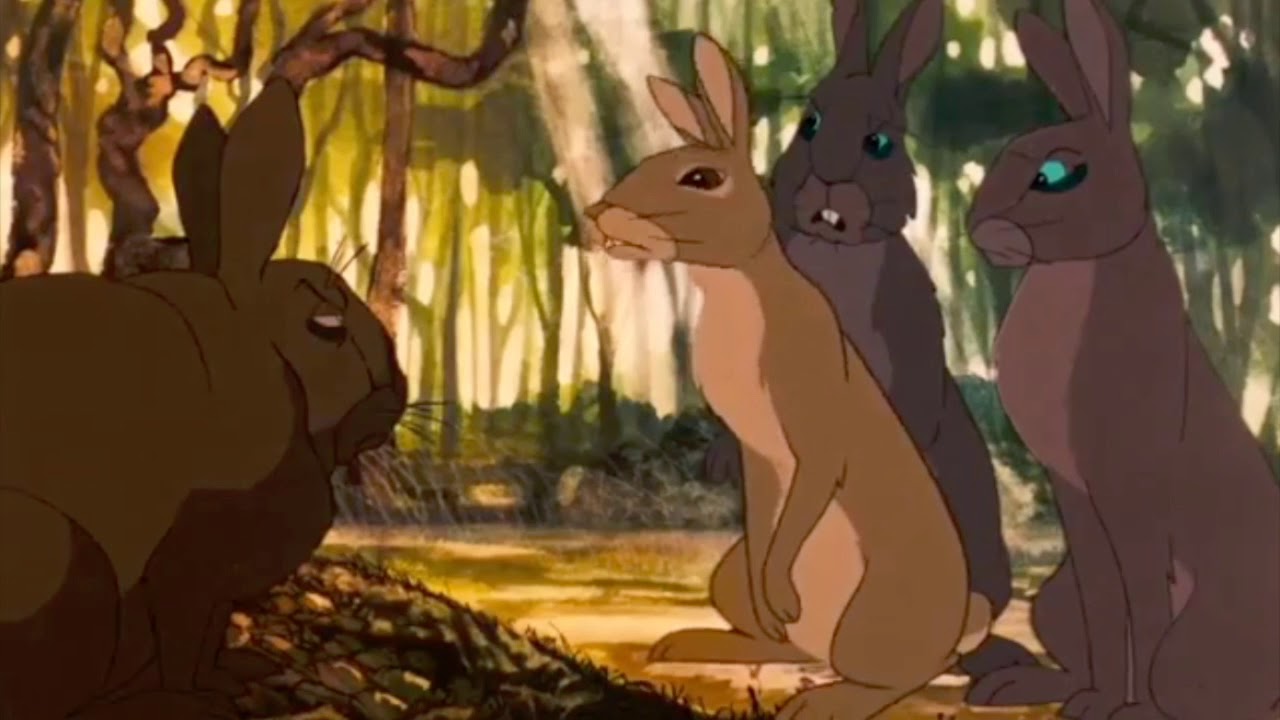 Watership Down- Voice over (Hazel talks to Woundwort) - YouTube