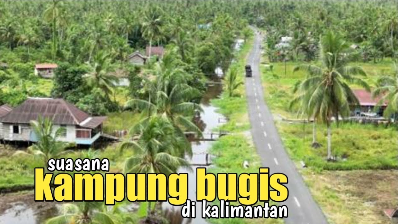 Suasana perkampungan suku Bugis di pedalaman Kalimantan - YouTube