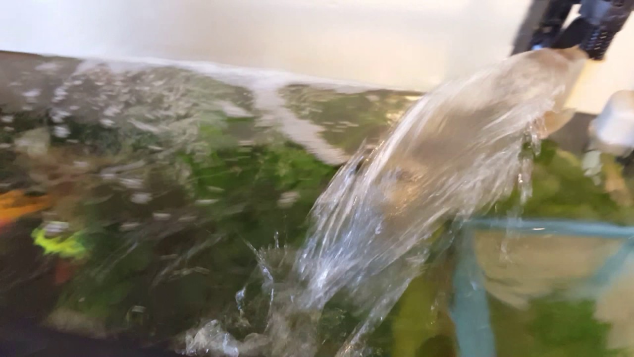 Dealing with reduced filter flow - YouTube