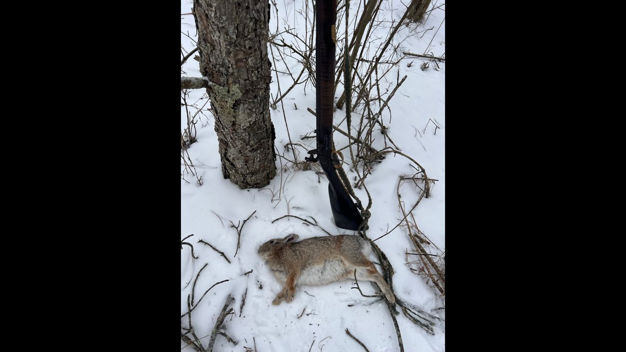 Flintlock Rabbit Hunt with Levi Haines - YouTube