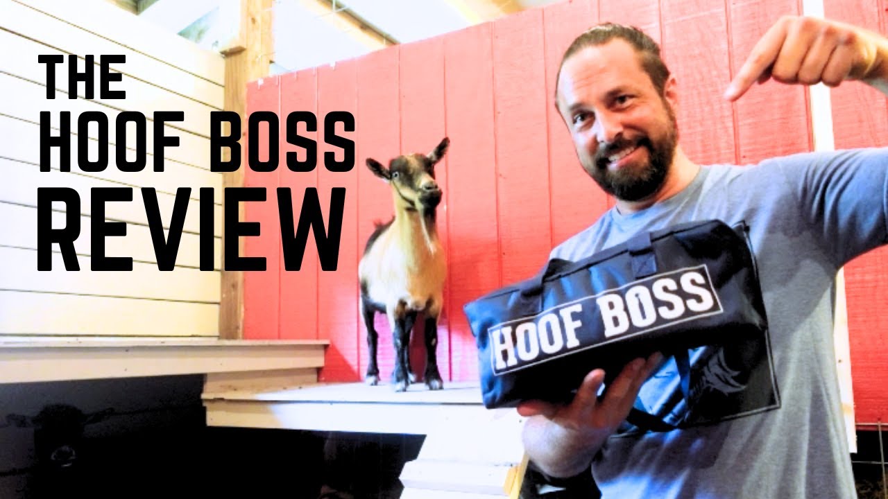 THE HOOF BOSS REVIEW | Trimming Goat Hooves | HappyGoatAdventures.org ...