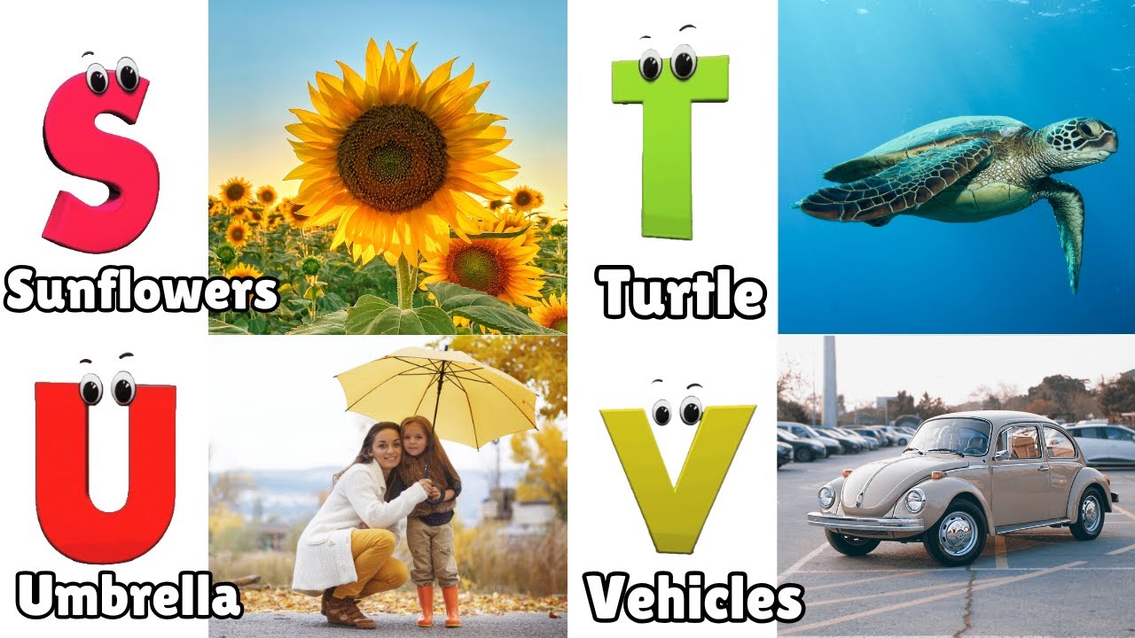 "A for Avocado B for Bell | Alphabet Rhymes | ABCD Learning"| Words ...