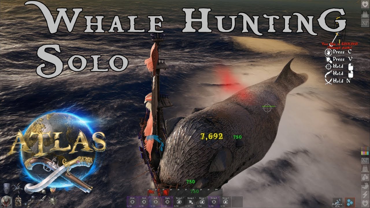 Atlas S1E9 (Sailvation Server) Solo Whale Hunting - YouTube