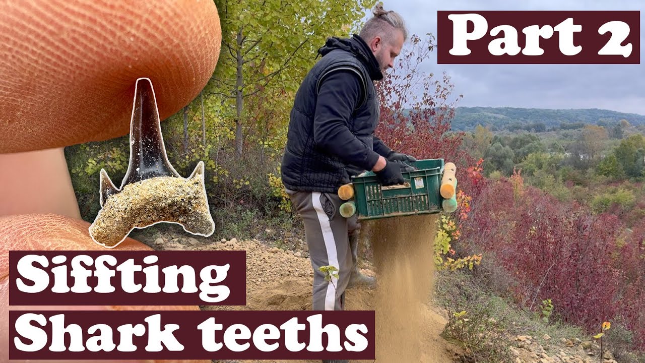 Sifting shark teeths in the mountains! +Camping in the wild - Part 2 ...