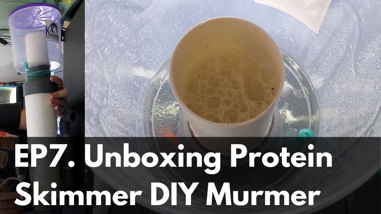 Unboxing Protein Skimmer DIY | EPS07 Reef Tank Series - YouTube