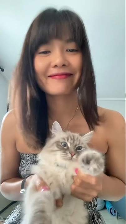 No way 😼 #tiktok #arisa #funny #viralvideo #ทาสเเมว #catlover #mycat #noway #funnycats # ...