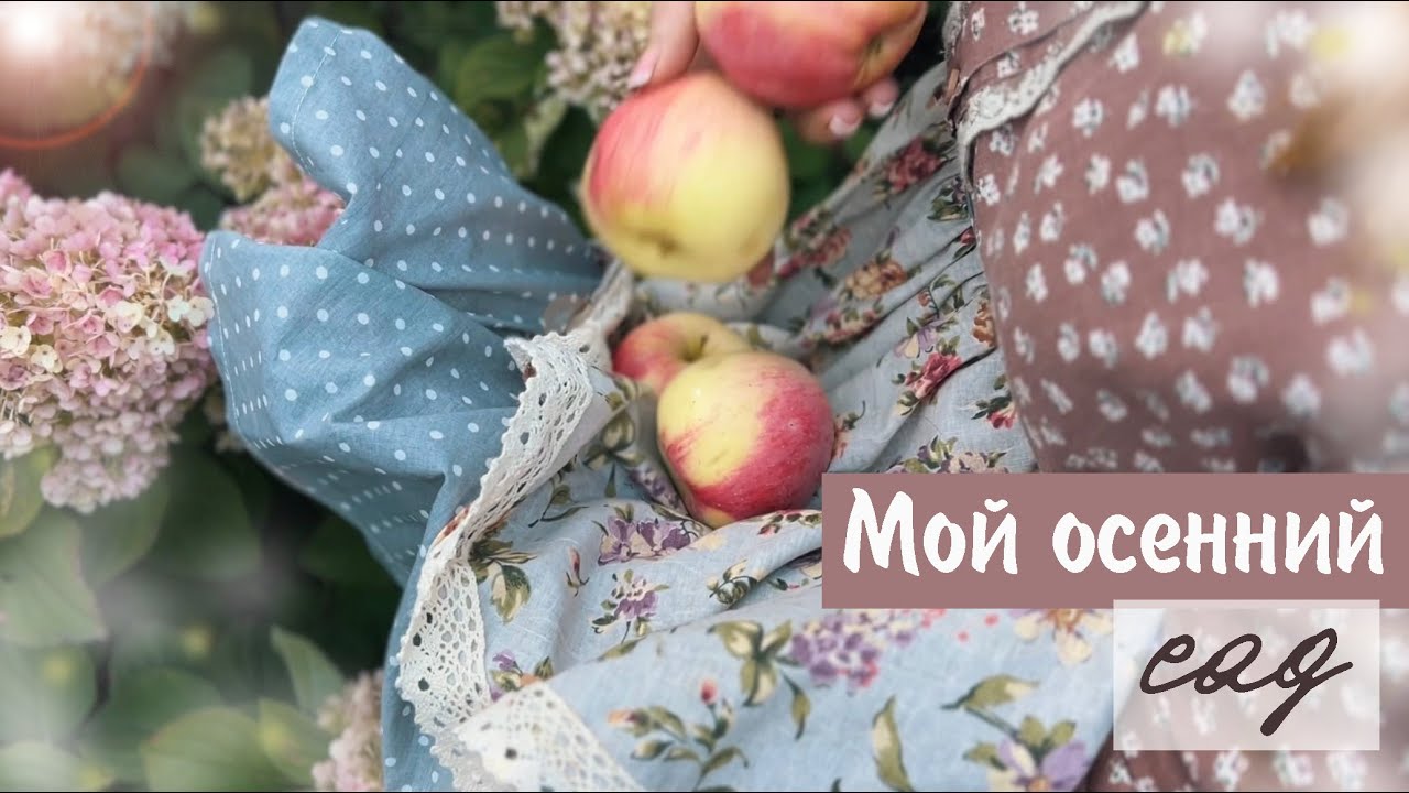 Мой осенний сад Youtube