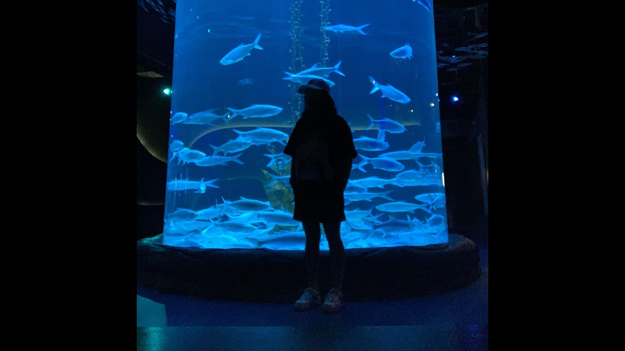 Live Stream Michelle Angela - YouTube