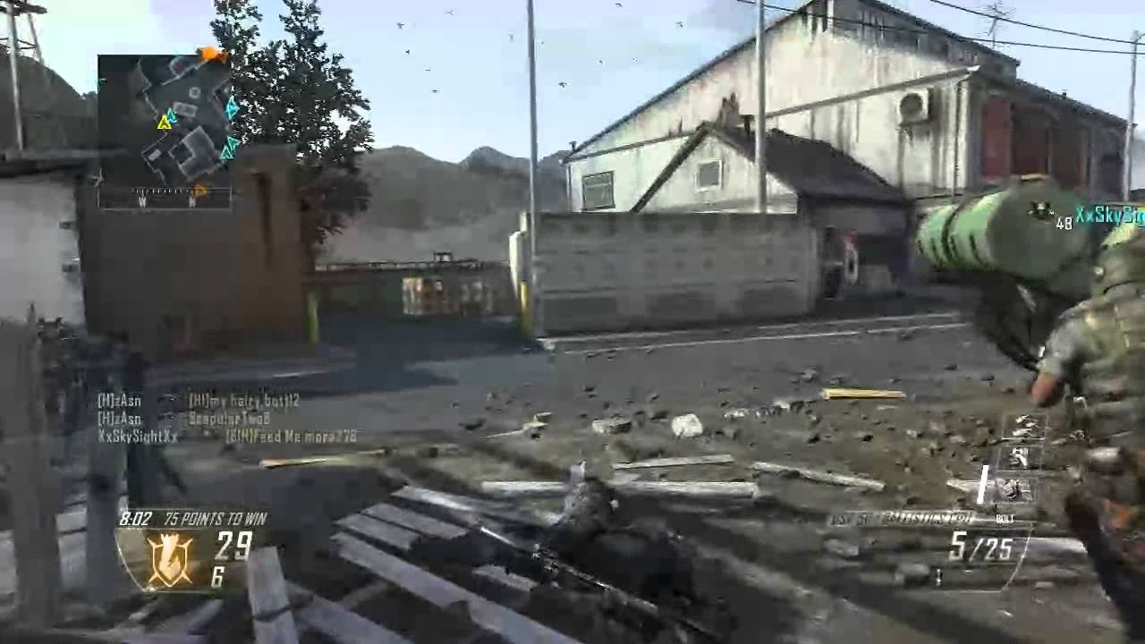 Best guns in BO2 #LagIsReal (Flawless 40-0) - YouTube