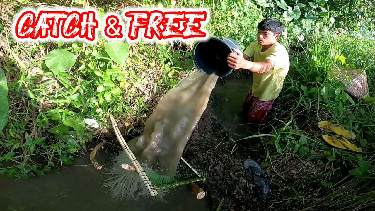 Primitive Fishing | Catch and Free | Episode 18 - YouTube
