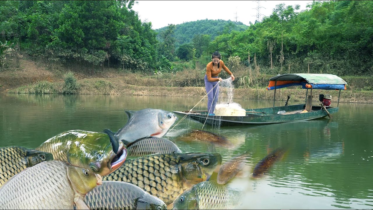 Meet many kinds of giant fish in wild lake.Wild fish hunting skills ...
