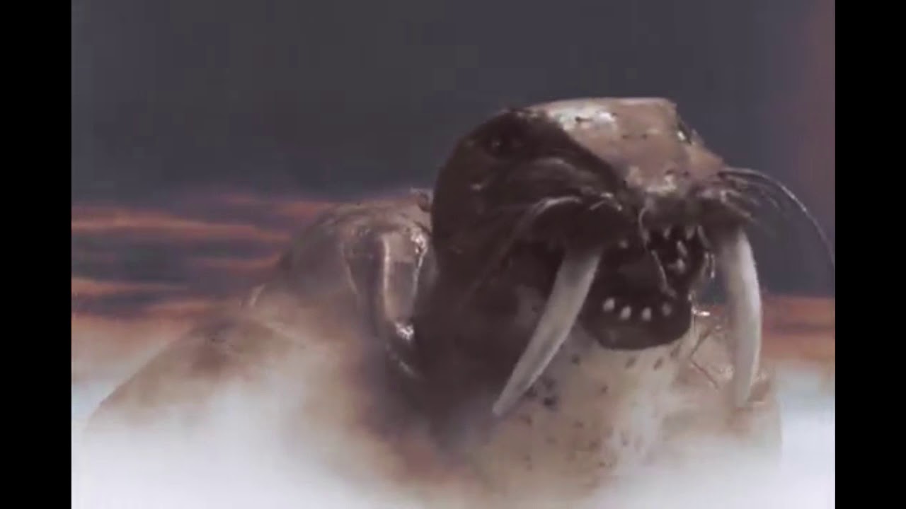 Todora fight scenes only - YouTube