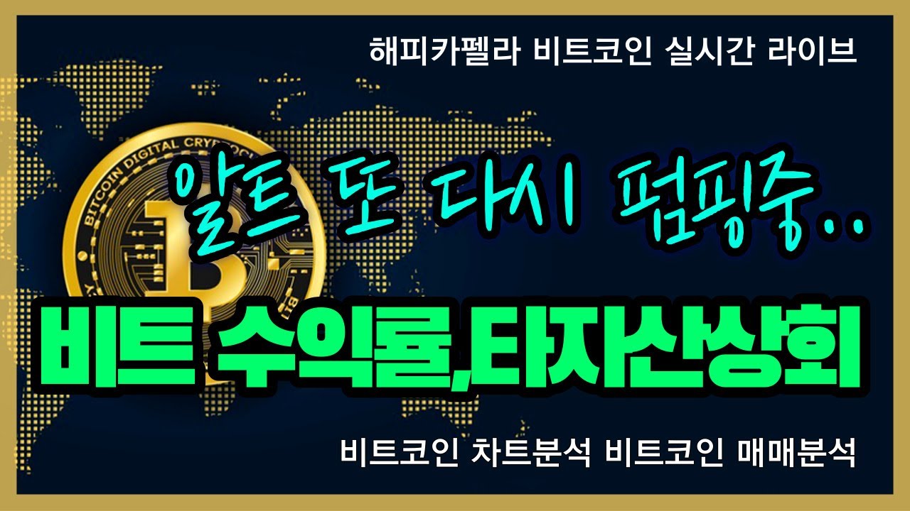 비트코인 실시간 그레이스케일 비트수익률 타자산 상회 알트 또다시 펌핑 중 10월 5일 저녁💎 비트코인 비트코인실시간 이더리움 리플 도지코인 차트분석