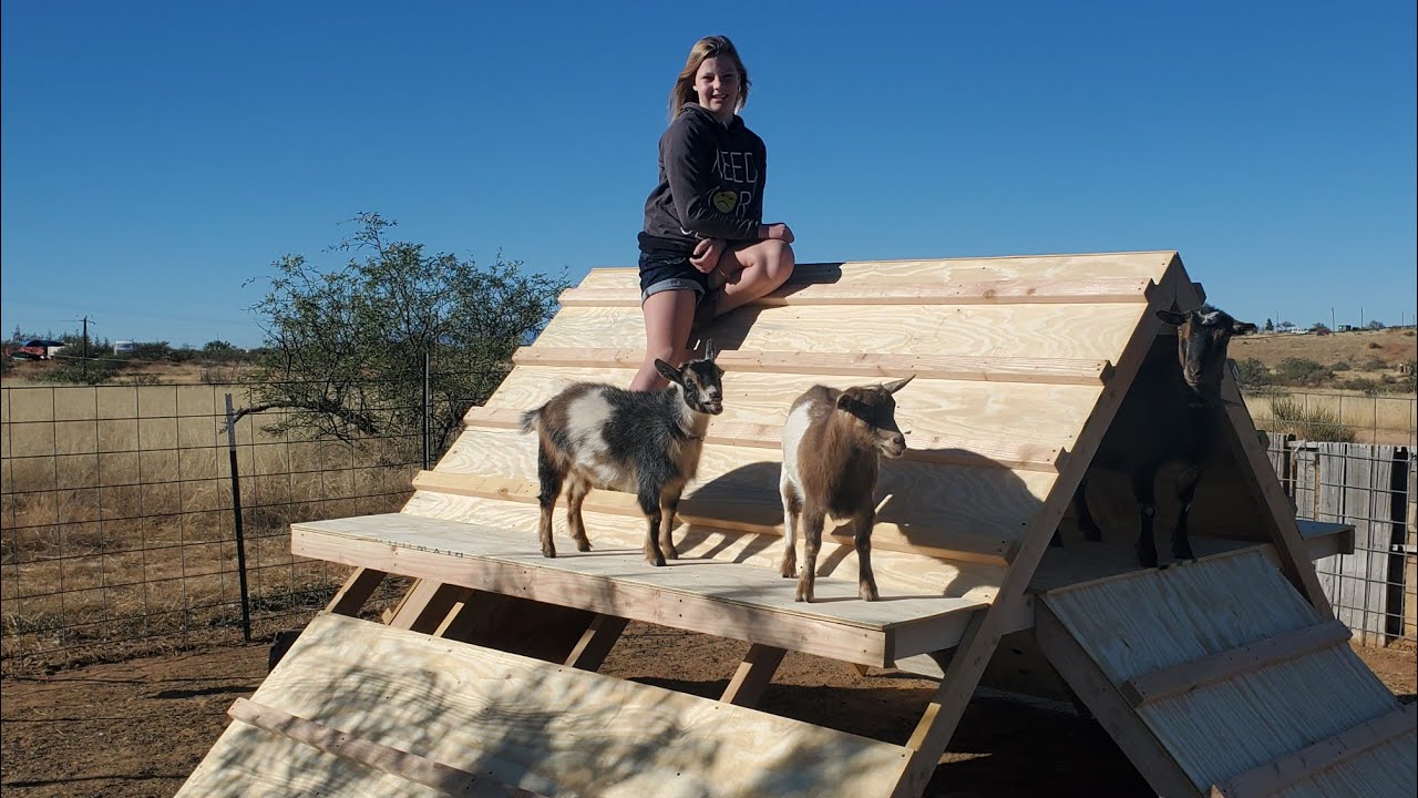How To Build The A Frame Goat Playhouse! Step by Step, DIY -/\- - YouTube