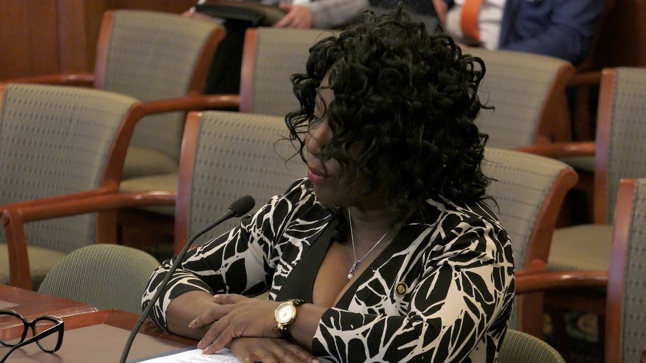 Missouri Sen. Karla May Presents SB 1278 in Committee - YouTube