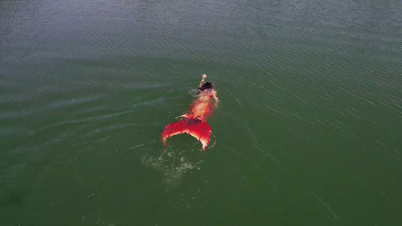 Mermaid Found in Emerald Lake at Divers Cove Godstone - YouTube