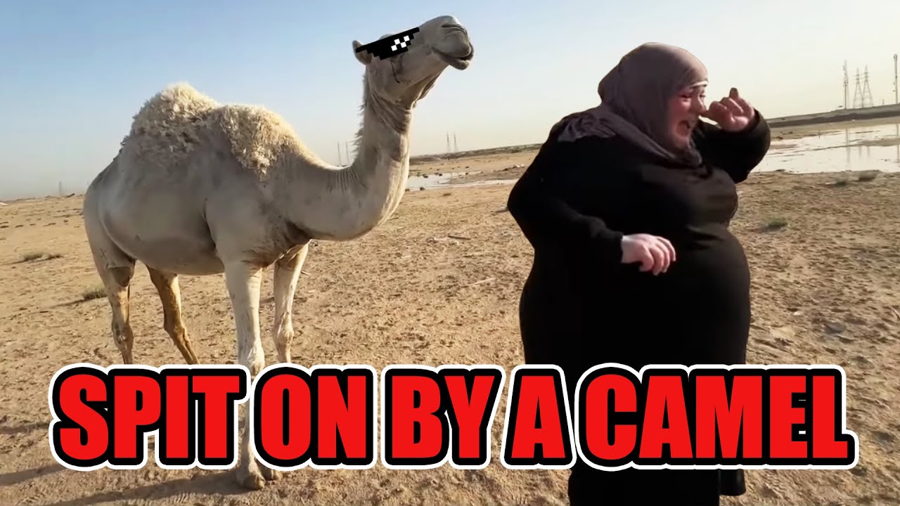 Foodie Beauty Gets Spit on by a Camel TWICE, Falls Down the Stairs! - YouTube