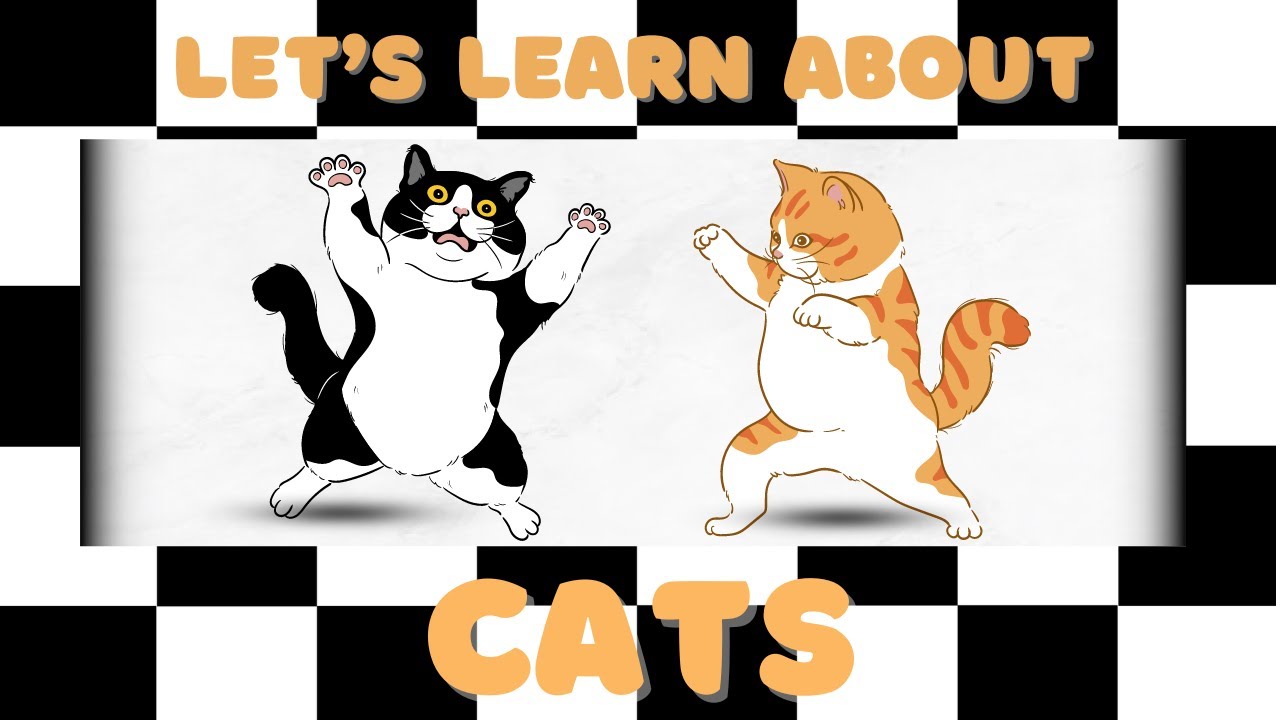 "A Purr-fect Preschool Adventure with Cats and Kittens!" 🐱📚 - YouTube