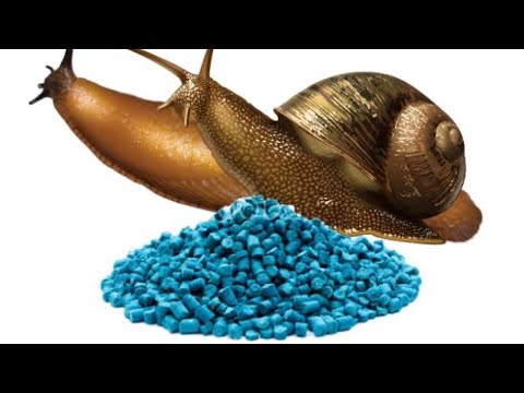 Metaldehyde toxicity - YouTube