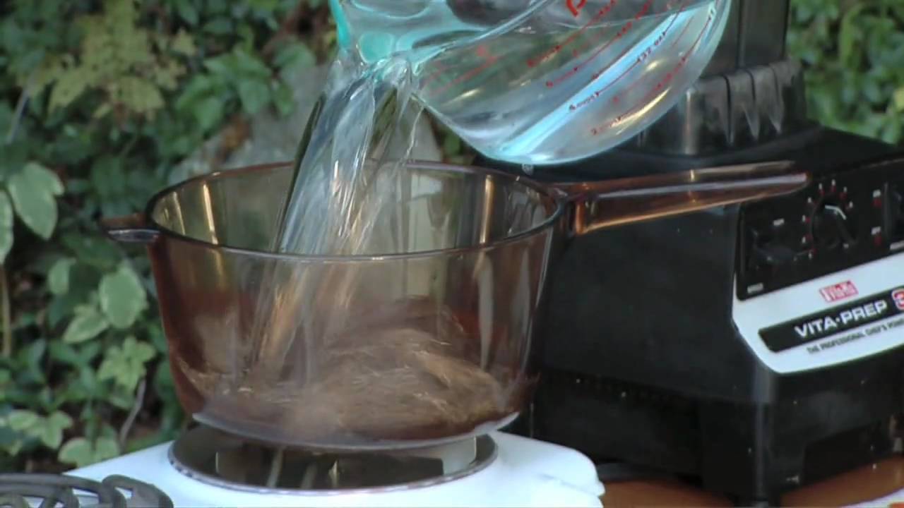 Daniel Vitalis ~ Body Rebuilder ElixirCraft DVD Clip - YouTube